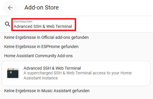 Nach der Auswahl des Buttons „Advanced SSH & Web Terminal“, wird das Terminal mit „INSTALLIEREN ...